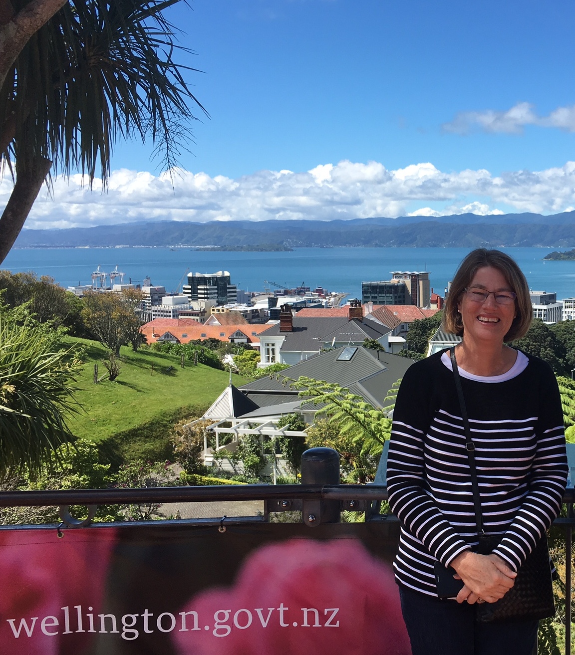 Wellington on a beautiful day – Travels from New Zealand